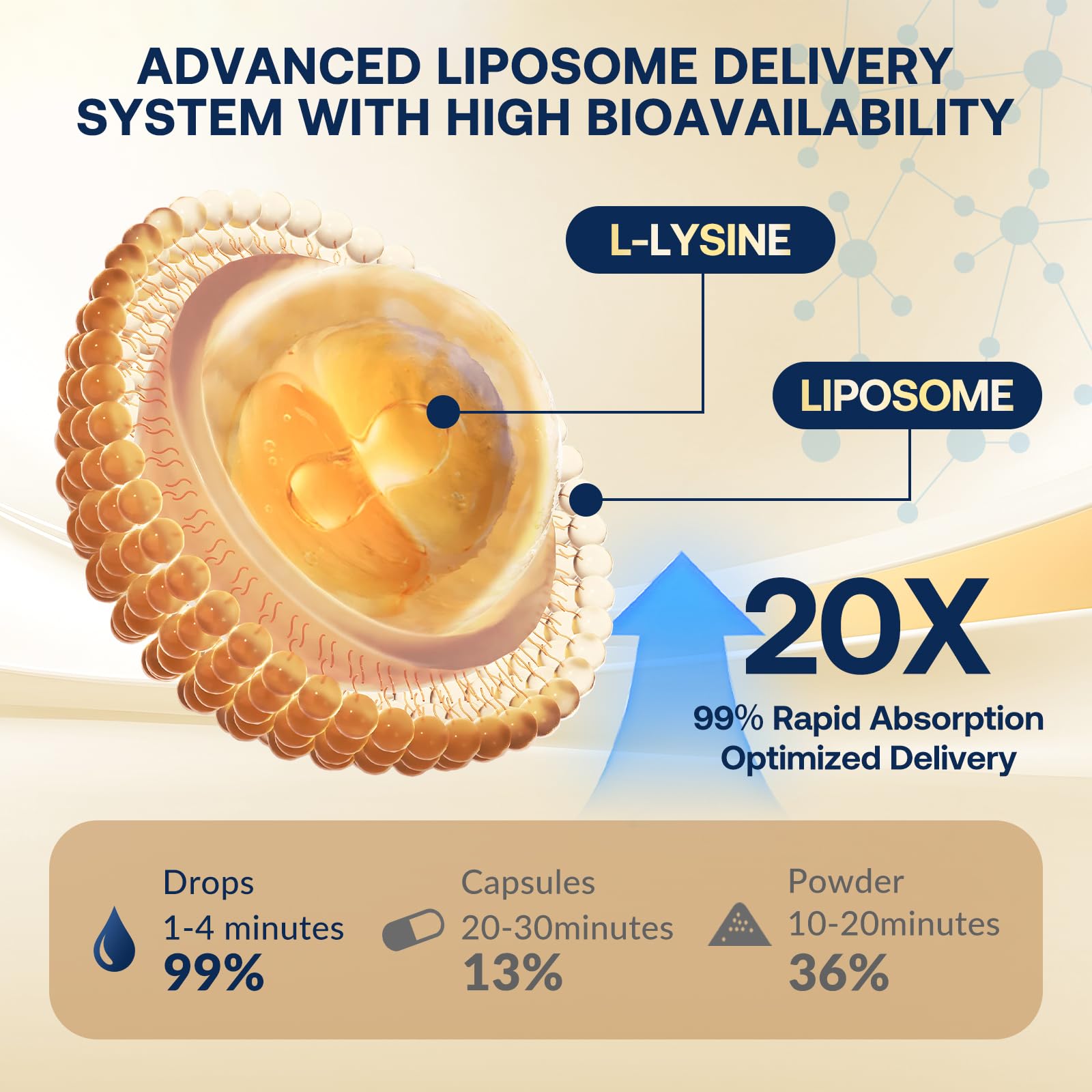 Liposomal L-Lysine for muscle recovery