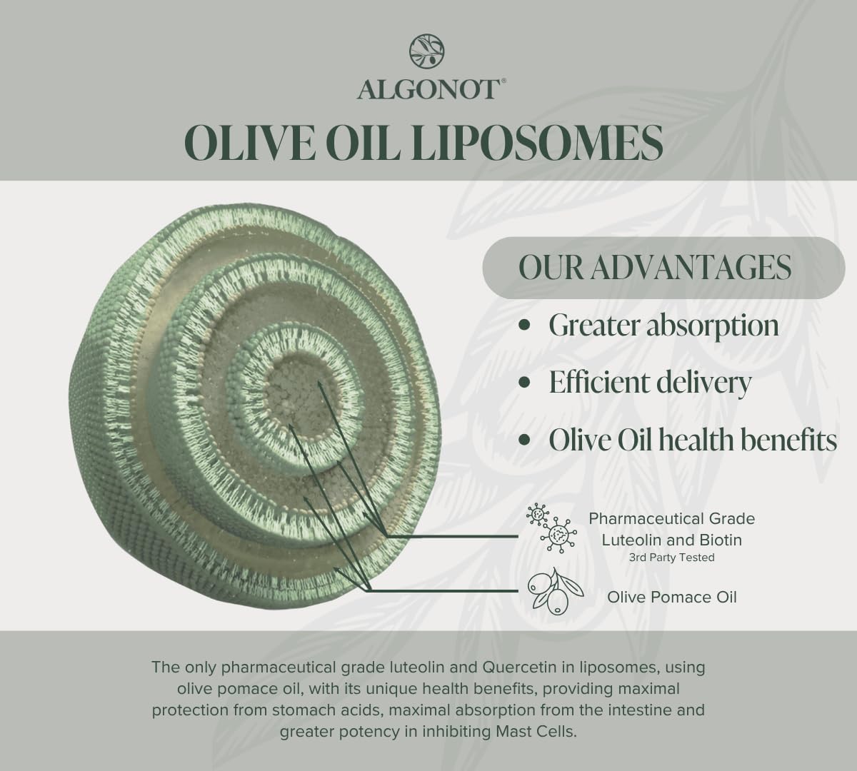 liposomal luteolin for enhanced absorption