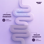 Liposomal magnesium for better bioavailability