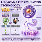 Liposomal magnesium for enhanced absorption