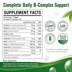 Liposomal Methyfolate 5-MTHF benefits