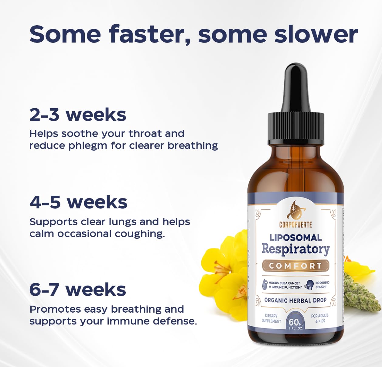 Liposomal Mullein drops for easy absorption