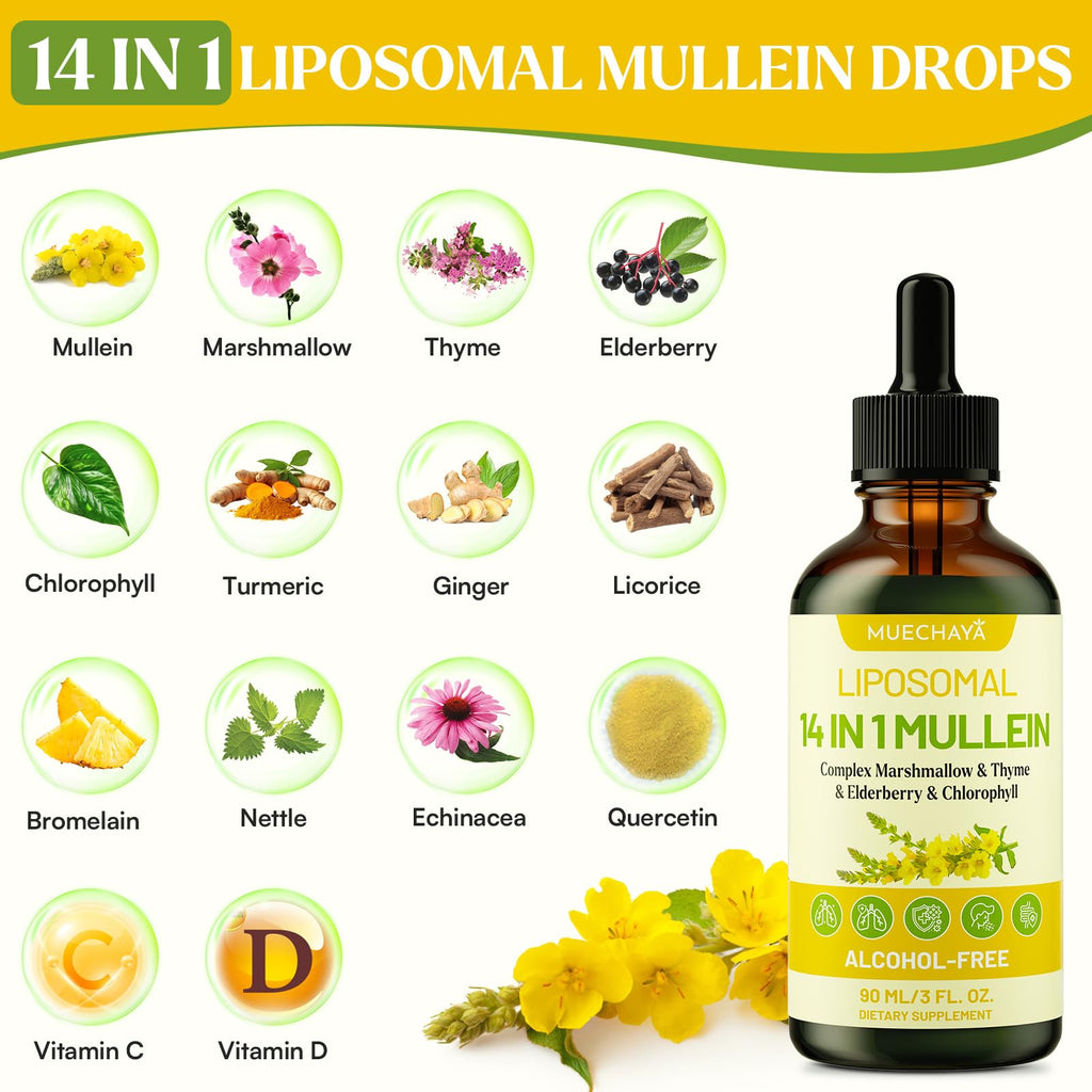 Liposomal Mullein for immune health