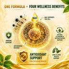 Liposomal NAC 1000 mg liquid form
