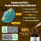 Liposomal NAC for improved absorption