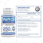 Liposomal NAD+ capsules for wellness