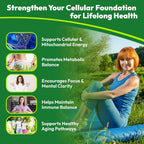 Liposomal NAD+ for better absorption