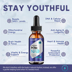 liposomal NAD+ for better absorption