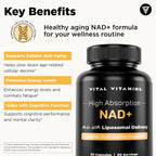 Liposomal NAD+ for better absorption