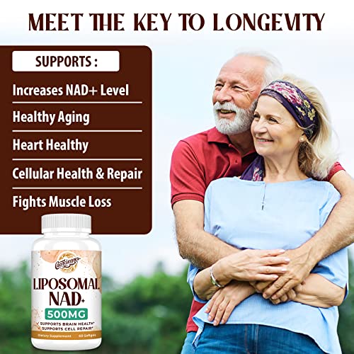 Liposomal NAD+ for enhanced absorption