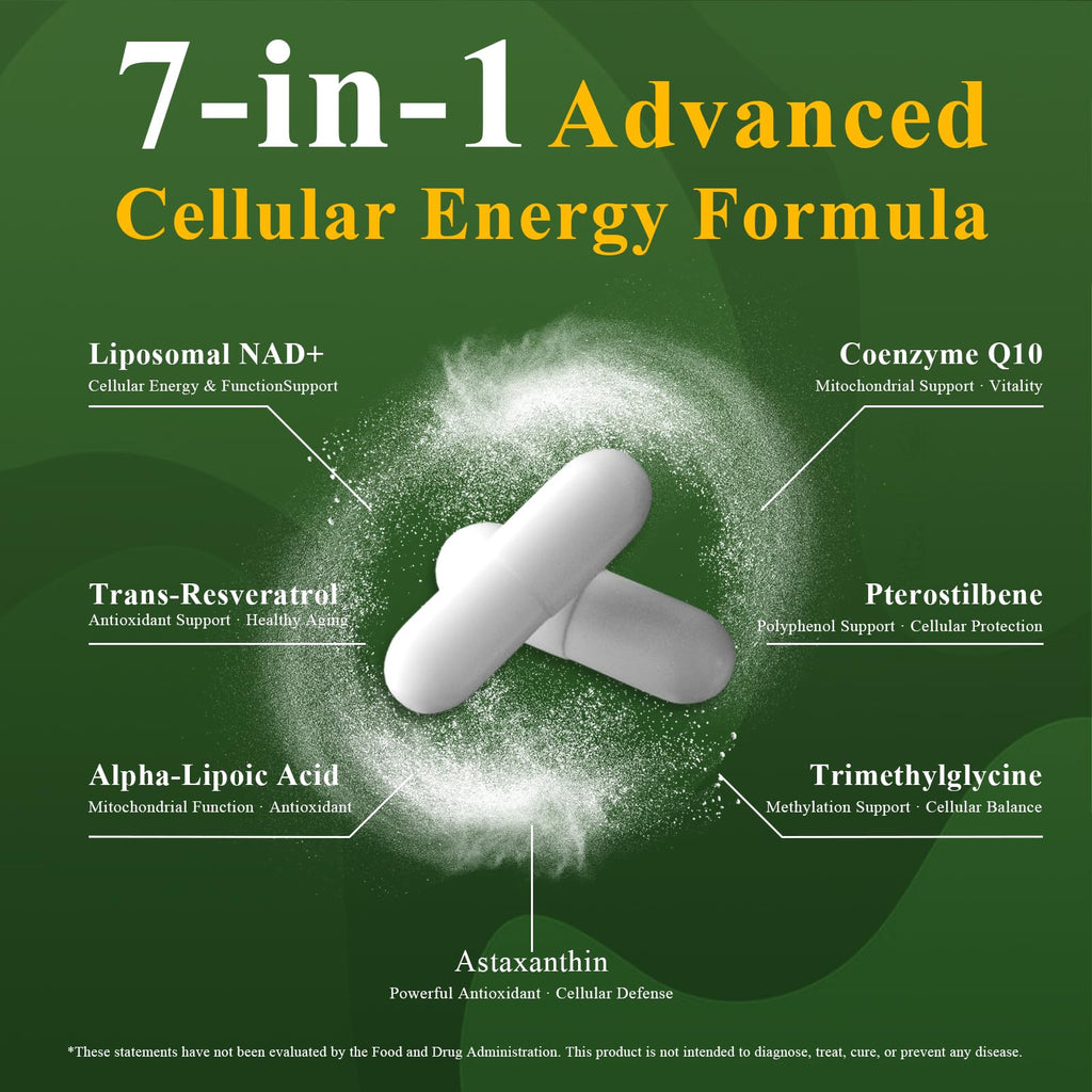 Liposomal NAD+ for enhanced absorption