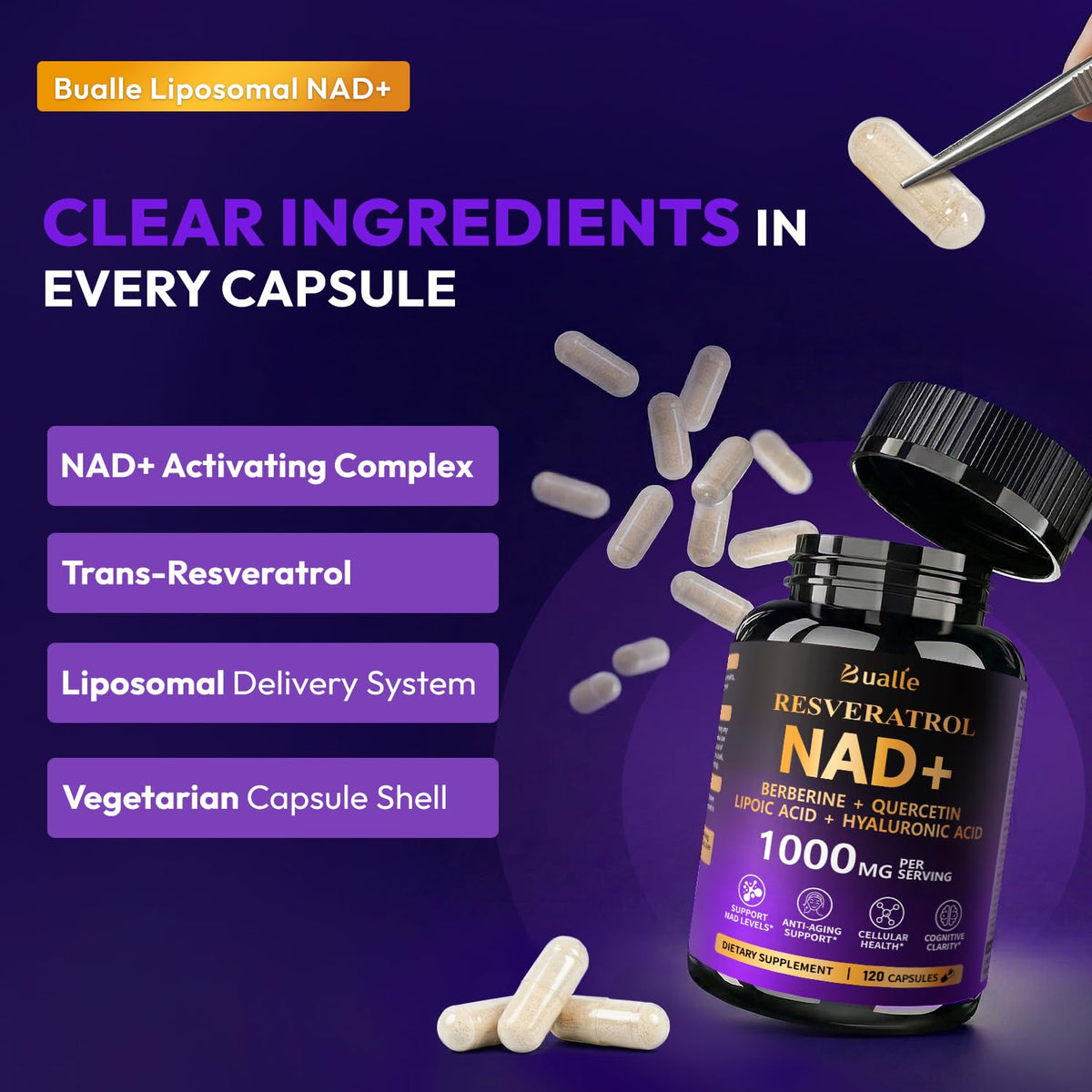 Liposomal NAD for enhanced absorption