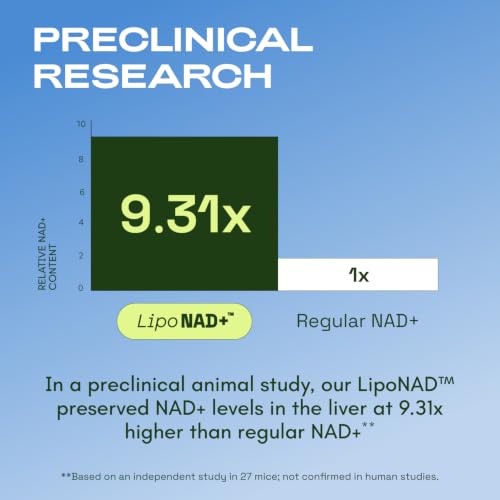 Liposomal NAD for enhanced absorption