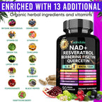Liposomal NAD+ for enhanced absorption