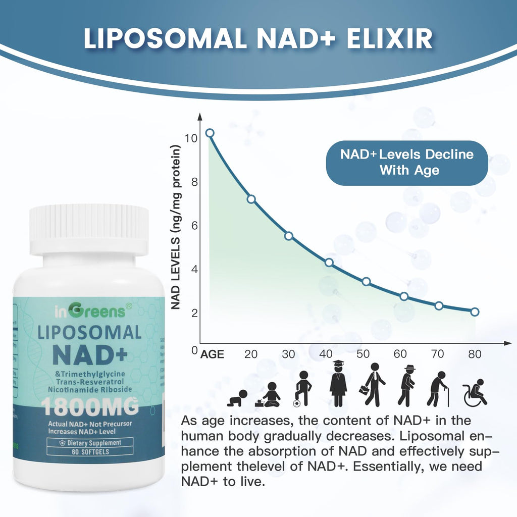 Liposomal NAD+ for enhanced nutrient absorption