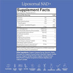 Liposomal NAD+ for enhanced wellness