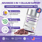 Liposomal NAD+ for healthy aging