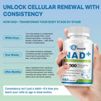 Liposomal NAD for improved recovery
