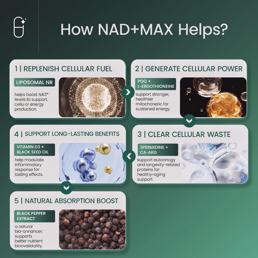 Liposomal NAD+ for mental clarity