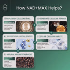 Liposomal NAD+ for mental clarity