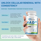 Liposomal NAD for seniors' health