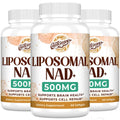 Liposomal NAD+ supplement for energy