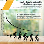 Liposomal Nicotinamide for energy