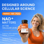 liposomal NMN capsules for vitality