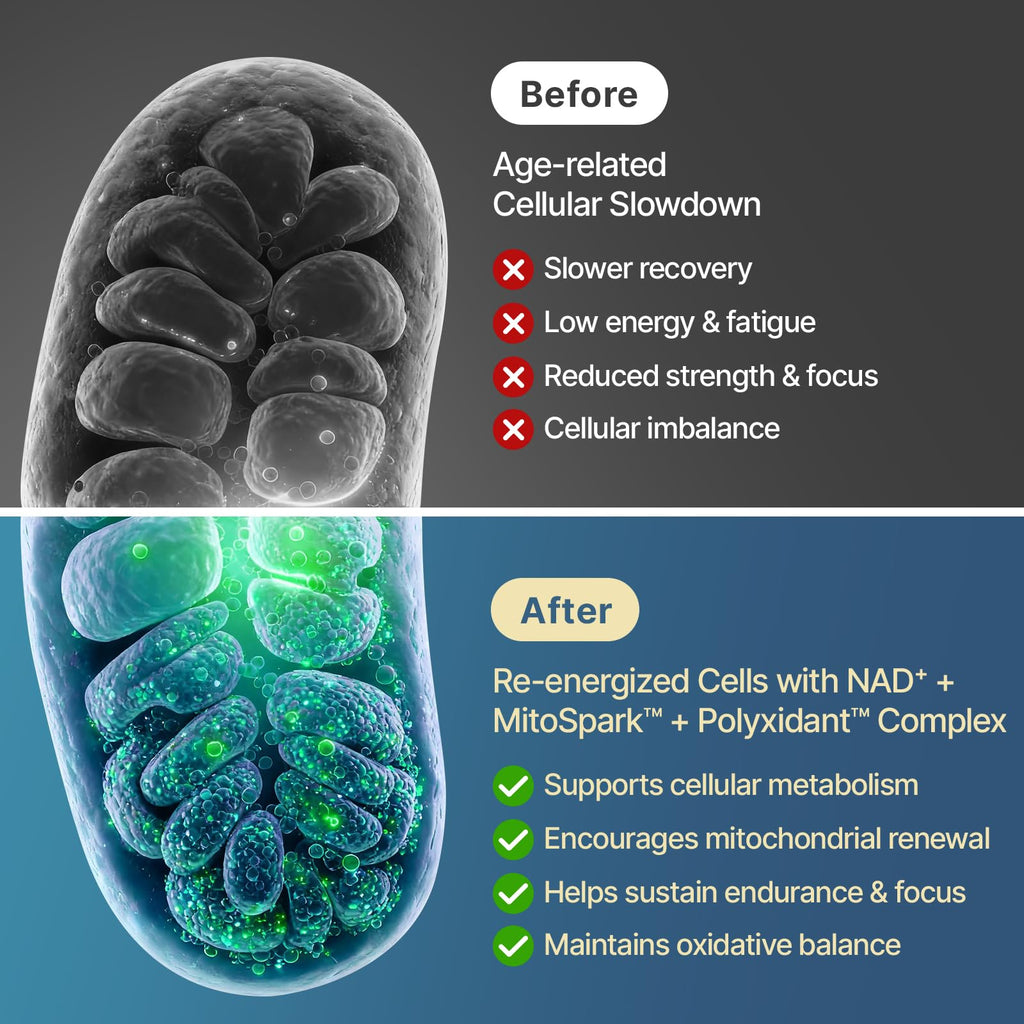 liposomal NMN for cellular health
