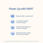 Liposomal NMN for enhanced absorption