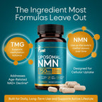 Liposomal NMN for enhanced absorption