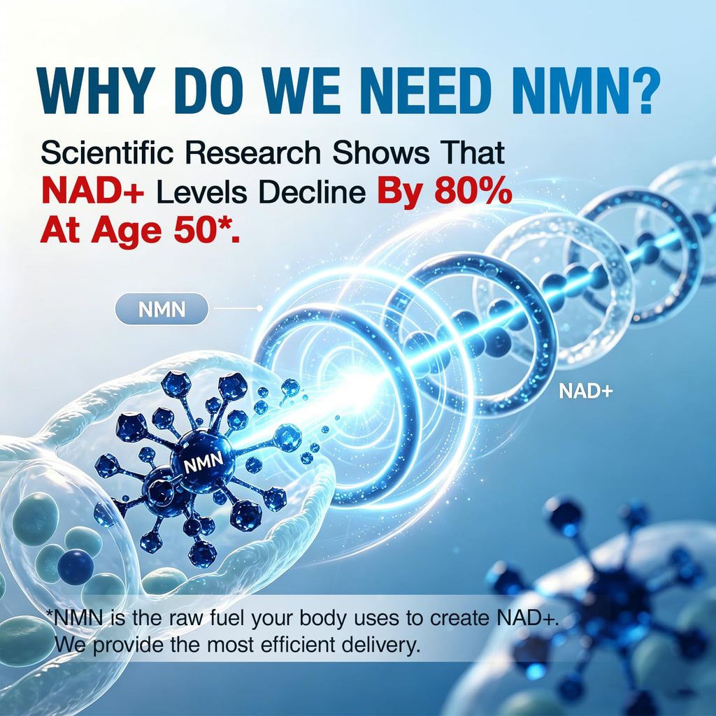 Liposomal NMN for healthy aging