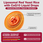 Liposomal Red Yeast Rice drops