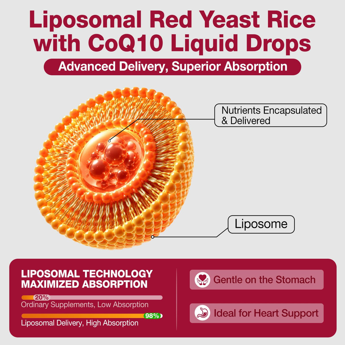 Liposomal Red Yeast Rice drops