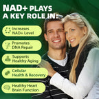 Liposomal resveratrol antioxidant support