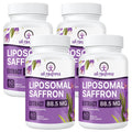 Liposomal saffron supplements for mood