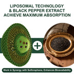 Liposomal sulforaphane capsules for women