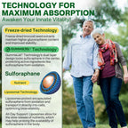 Liposomal sulforaphane immune support supplement