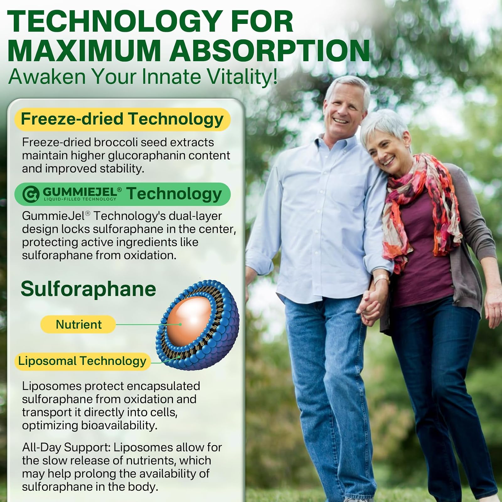 Liposomal sulforaphane immune support supplement