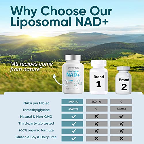 Liposomal technology for better nutrient delivery