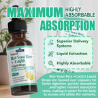 Liposomal vitamin A for wellness