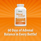 liposomal vitamin C absorption support