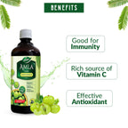 Liposomal vitamin C absorption support