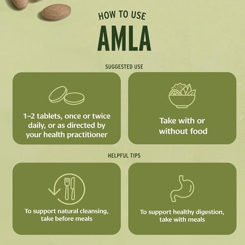 liposomal vitamin C alternative amla