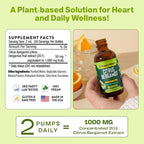 Liposomal vitamin C for absorption