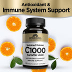 liposomal vitamin c for absorption