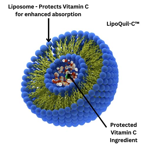 liposomal vitamin c for absorption