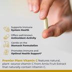 liposomal vitamin c for better absorption