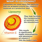 liposomal vitamin c for better absorption