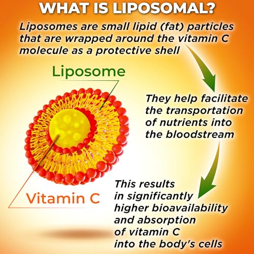 liposomal vitamin c for better absorption